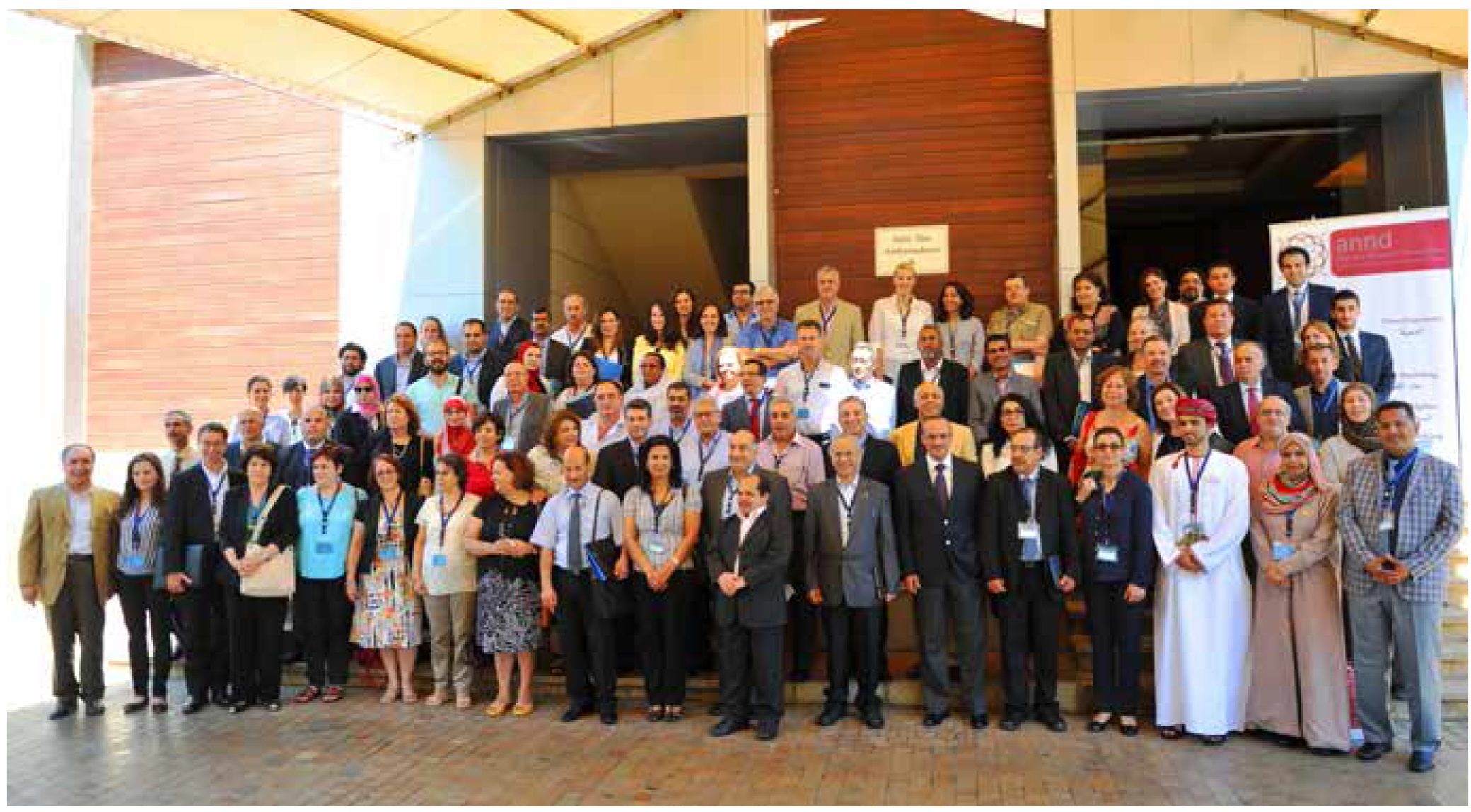 Arab NGO Network for Development